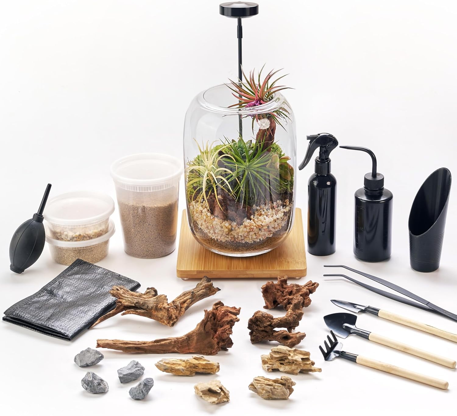 Terrarium Kit/Supplies Terrarium Plants Set with Grow Light, for ...