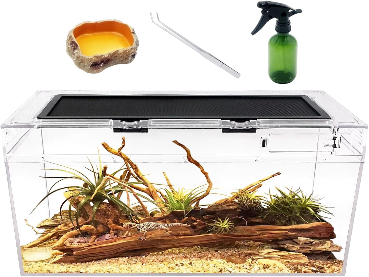 Terrarium Set, 6.6 Gallon Reptile Tank 20" x 10"x 8",for Insect，Fish ...