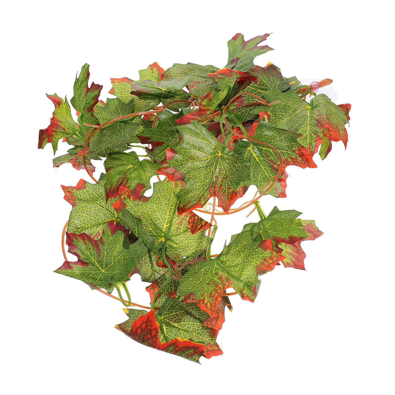 Terrariums Gecko Tank Leaves Decor Landscaping Plants Hideout Hideouts ...