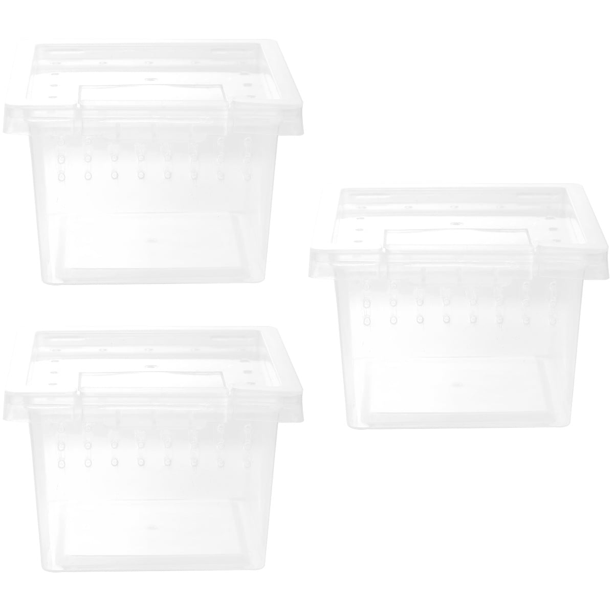 Terrariums for Reptiles Insect Rearing Box Tank Breeding Plastic ...