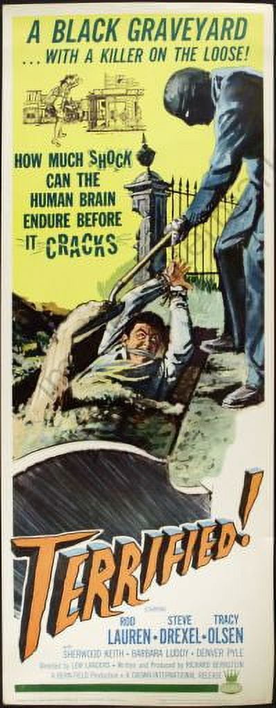 Terrified Movie Poster Insert 14x36 Unframed, Age: Adults AB Posters ...
