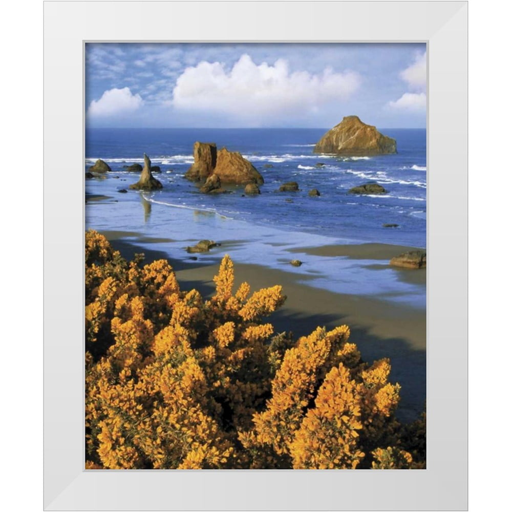 Terrill, Steve 12x14 White Modern Wood Framed Museum Art Print Titled - Oregon, Bandon Face Rock ...
