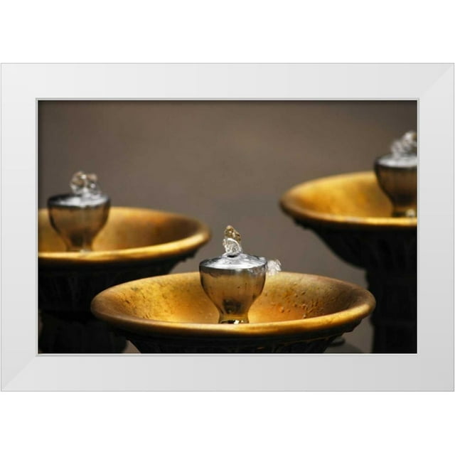 Terrill, Steve 14x11 White Modern Wood Framed Museum Art Print Titled ...