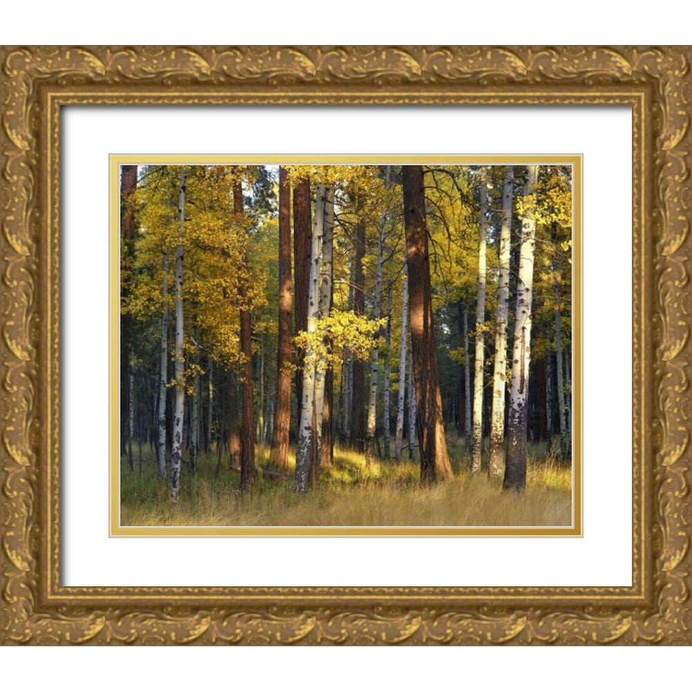 Terrill, Steve 14x12 Gold Ornate Wood Framed with Double Matting Museum ...