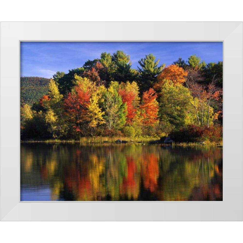 Terrill, Steve 14x12 White Modern Wood Framed Museum Art Print Titled ...