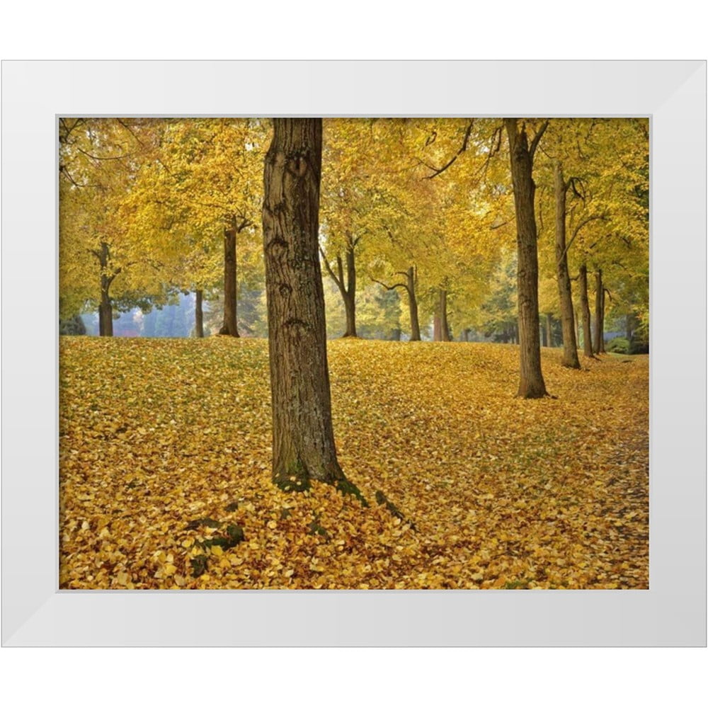 Terrill, Steve 14x12 White Modern Wood Framed Museum Art Print Titled ...