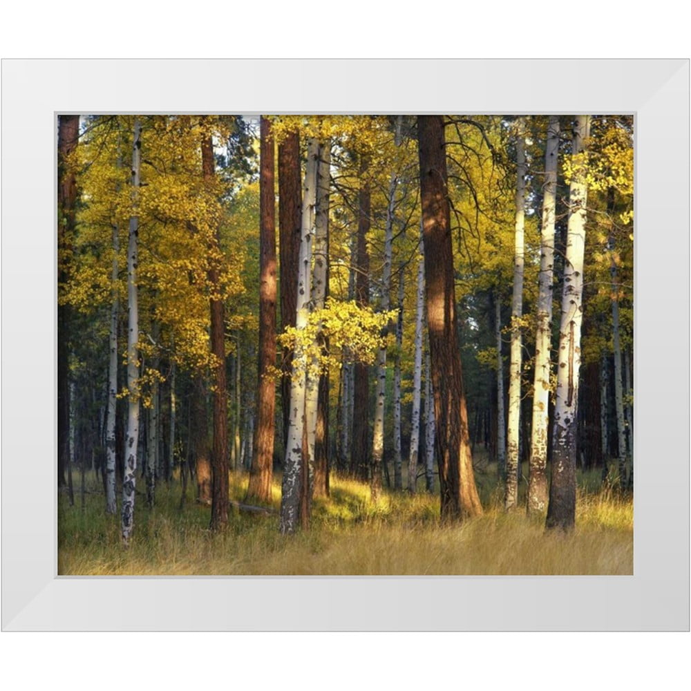 Terrill, Steve 14x12 White Modern Wood Framed Museum Art Print Titled ...