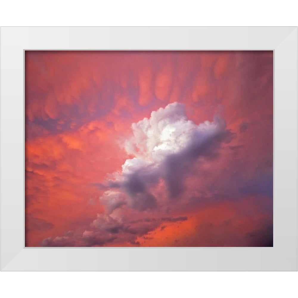 Terrill, Steve 14x12 White Modern Wood Framed Museum Art Print Titled - Oregon, Portland Clouds ...