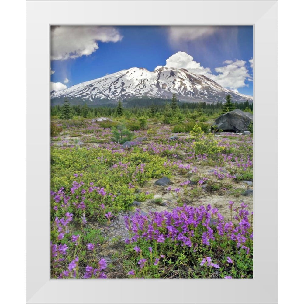 Terrill, Steve 15x18 White Modern Wood Framed Museum Art Print Titled ...