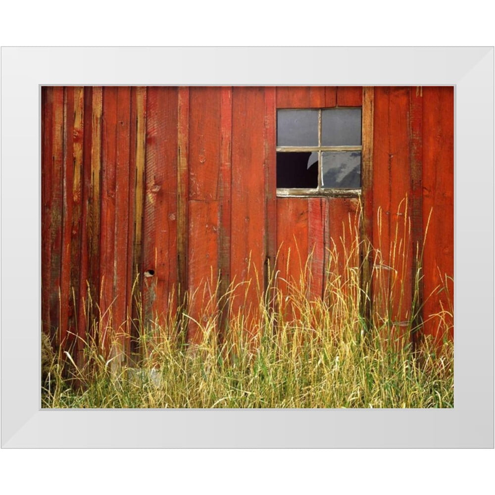 Terrill, Steve 18x15 White Modern Wood Framed Museum Art Print Titled ...