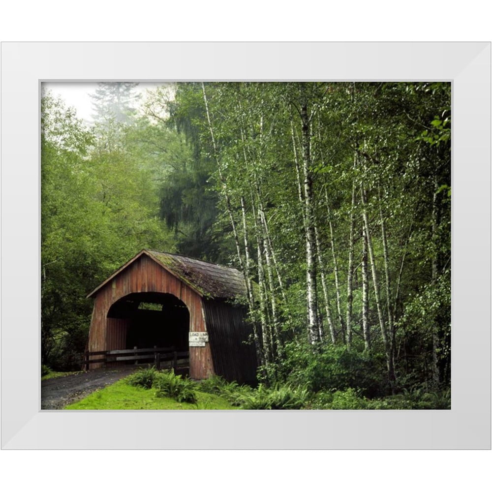 Terrill, Steve 18x15 White Modern Wood Framed Museum Art Print Titled ...