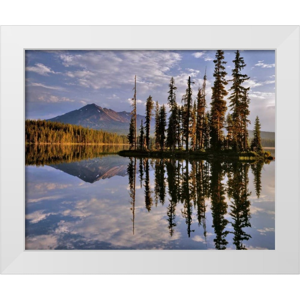 Terrill, Steve 18x15 White Modern Wood Framed Museum Art Print Titled ...