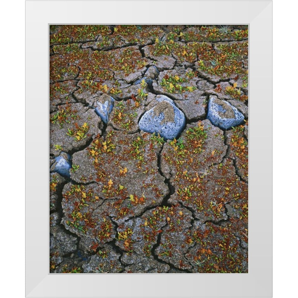 Terrill, Steve 20x24 White Modern Wood Framed Museum Art Print Titled ...