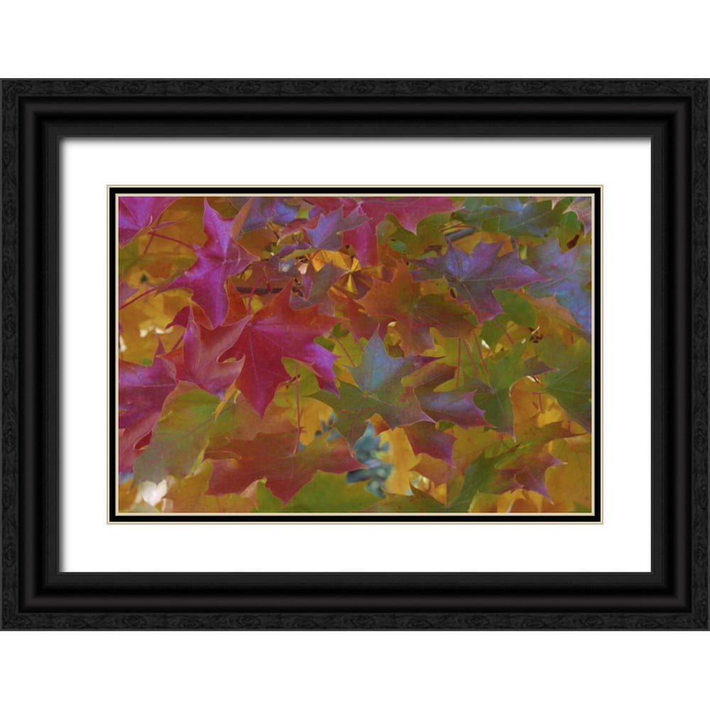 Terrill, Steve 24x17 Black Ornate Wood Framed with Double Matting ...