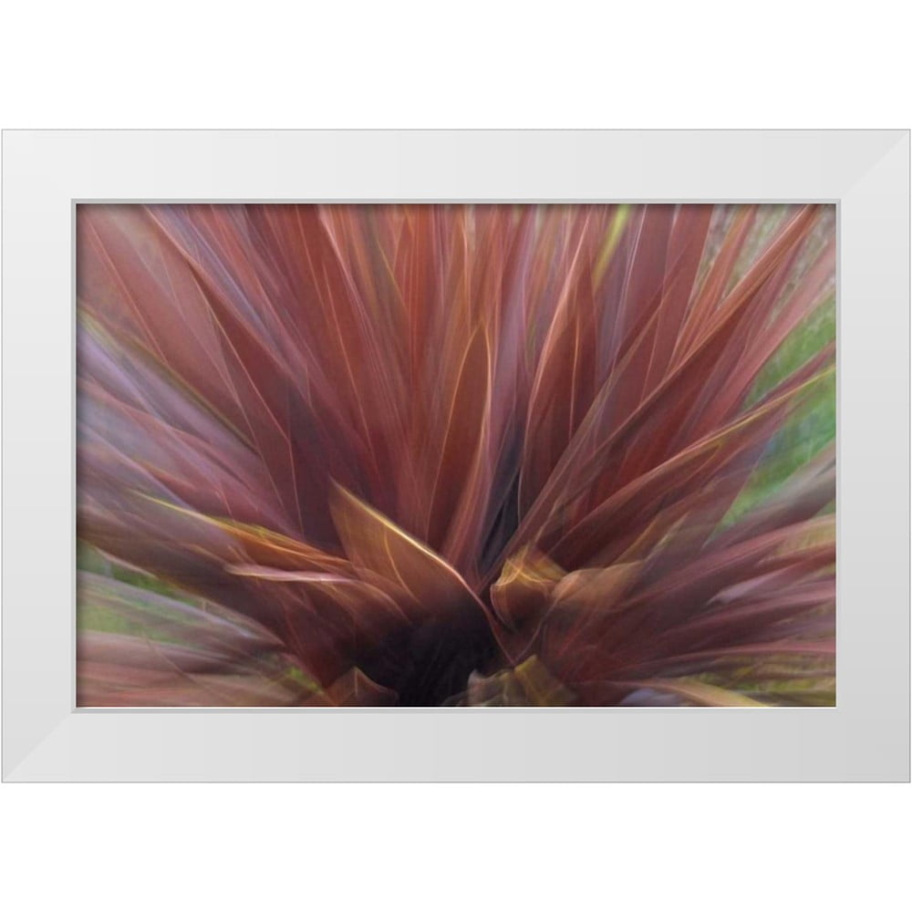 Terrill, Steve 24x17 White Modern Wood Framed Museum Art Print Titled ...