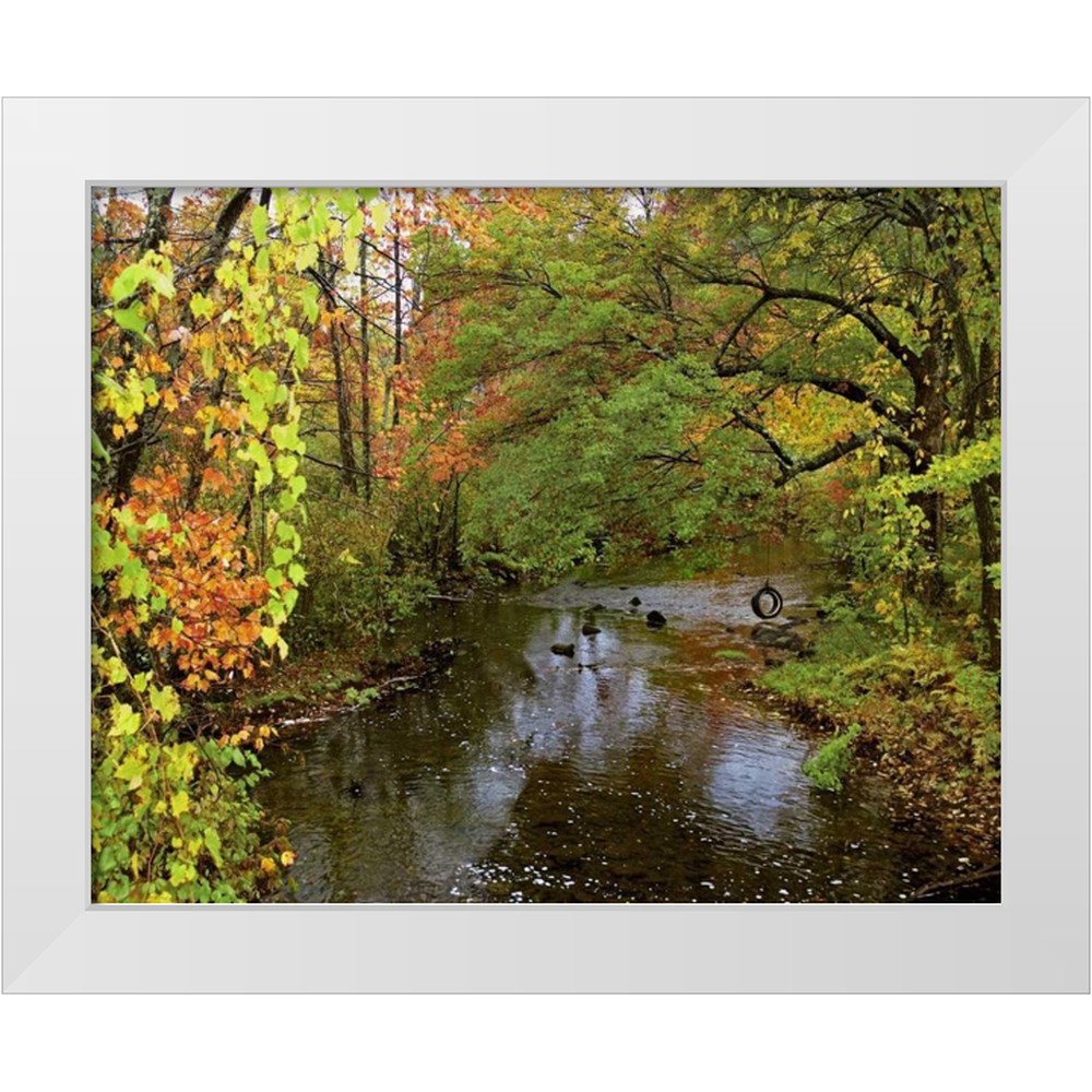 Terrill, Steve 24x20 White Modern Wood Framed Museum Art Print Titled ...