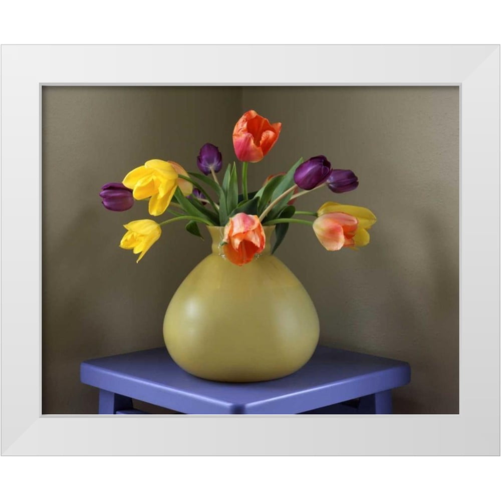 Terrill, Steve 24x20 White Modern Wood Framed Museum Art Print Titled ...