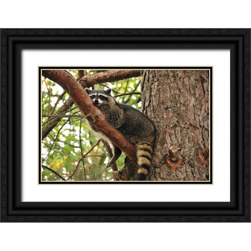 Terrill, Steve 32x23 Black Ornate Wood Framed with Double Matting ...
