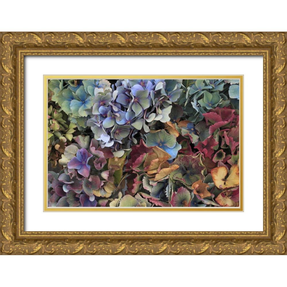 Terrill, Steve 32x23 Gold Ornate Wood Framed with Double Matting Museum ...