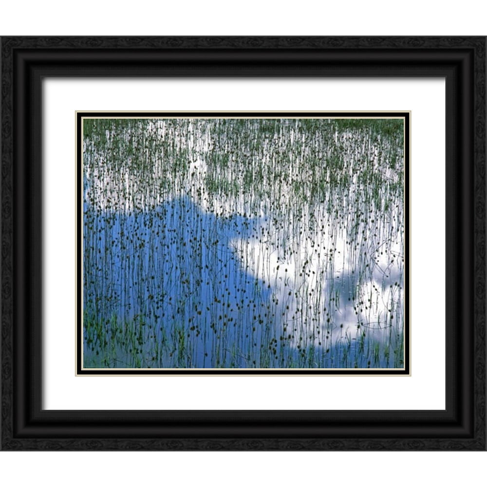 Terrill, Steve 32x26 Black Ornate Wood Framed with Double Matting ...
