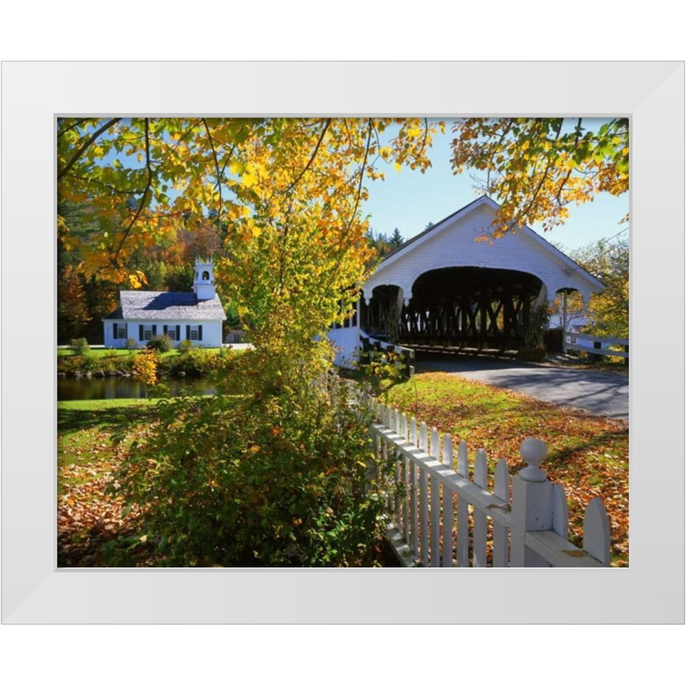 Terrill, Steve 32x26 White Modern Wood Framed Museum Art Print Titled ...
