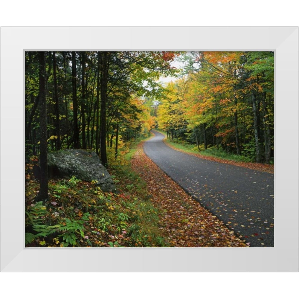 Terrill, Steve 32x26 White Modern Wood Framed Museum Art Print Titled ...