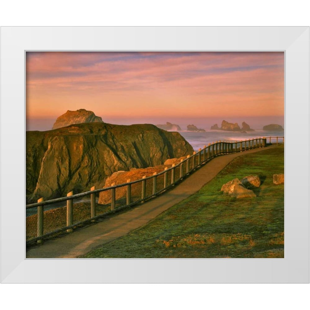Terrill, Steve 32x26 White Modern Wood Framed Museum Art Print Titled ...