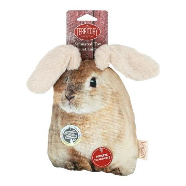 Territory 022266177289 9 in. Flopper Rabbit Dog Toy - Walmart Business ...