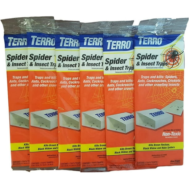 Terro T3206 Spider & Insect Trap 6 Packs = 24 Traps - Walmart Business ...