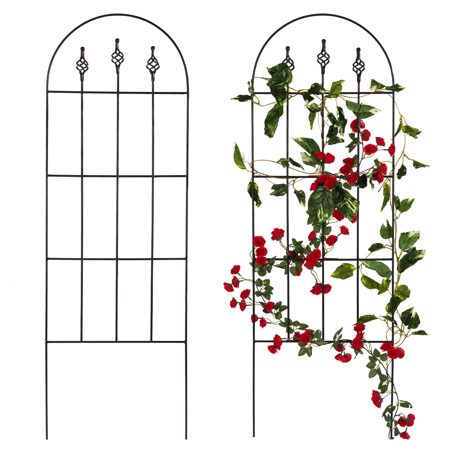 Terry 48 in. Decorative Metal Trellis for Climbing Plants Outdoor ...