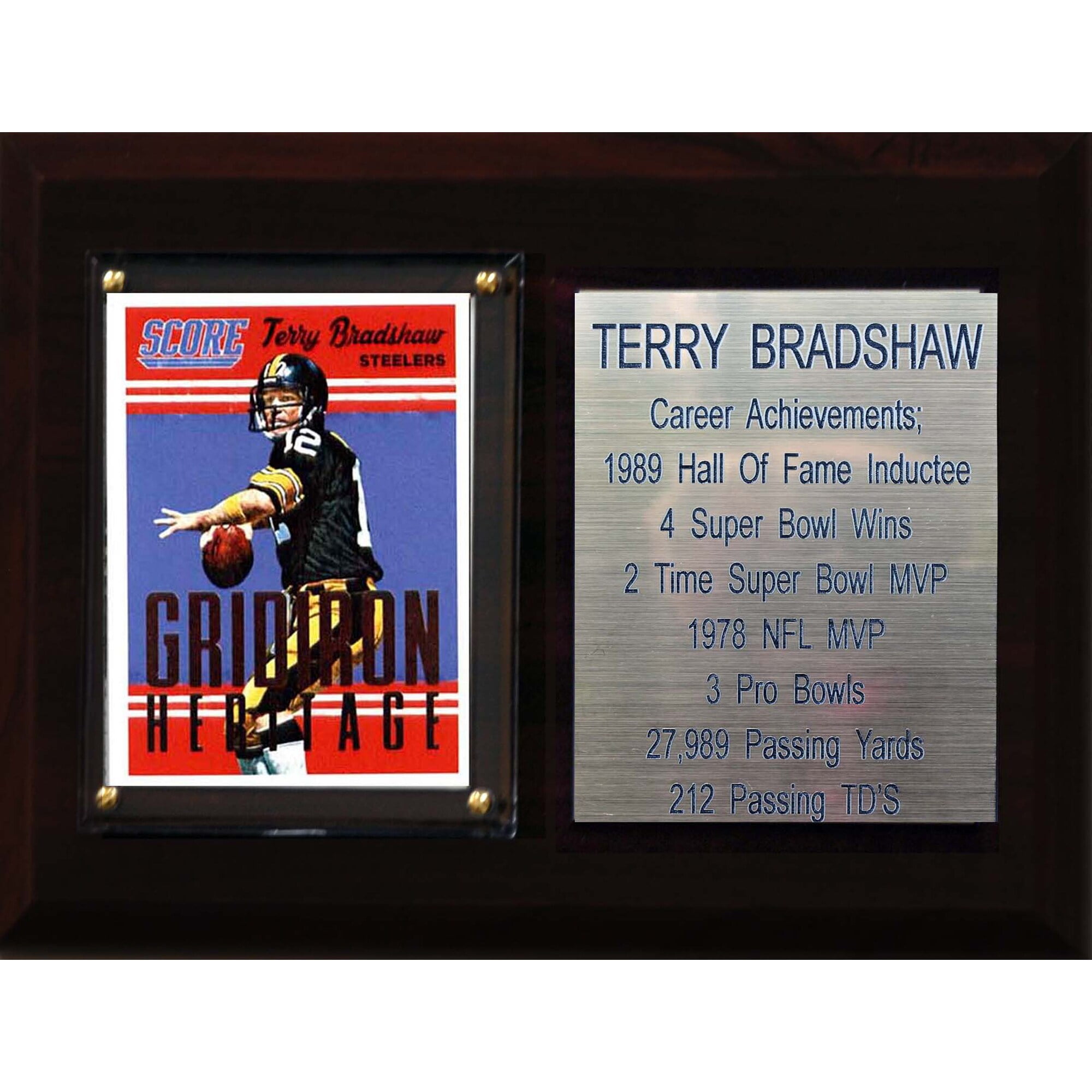 Terry Bradshaw Pittsburgh Steelers 6'' x 8'' Career Achievements Plaque ...