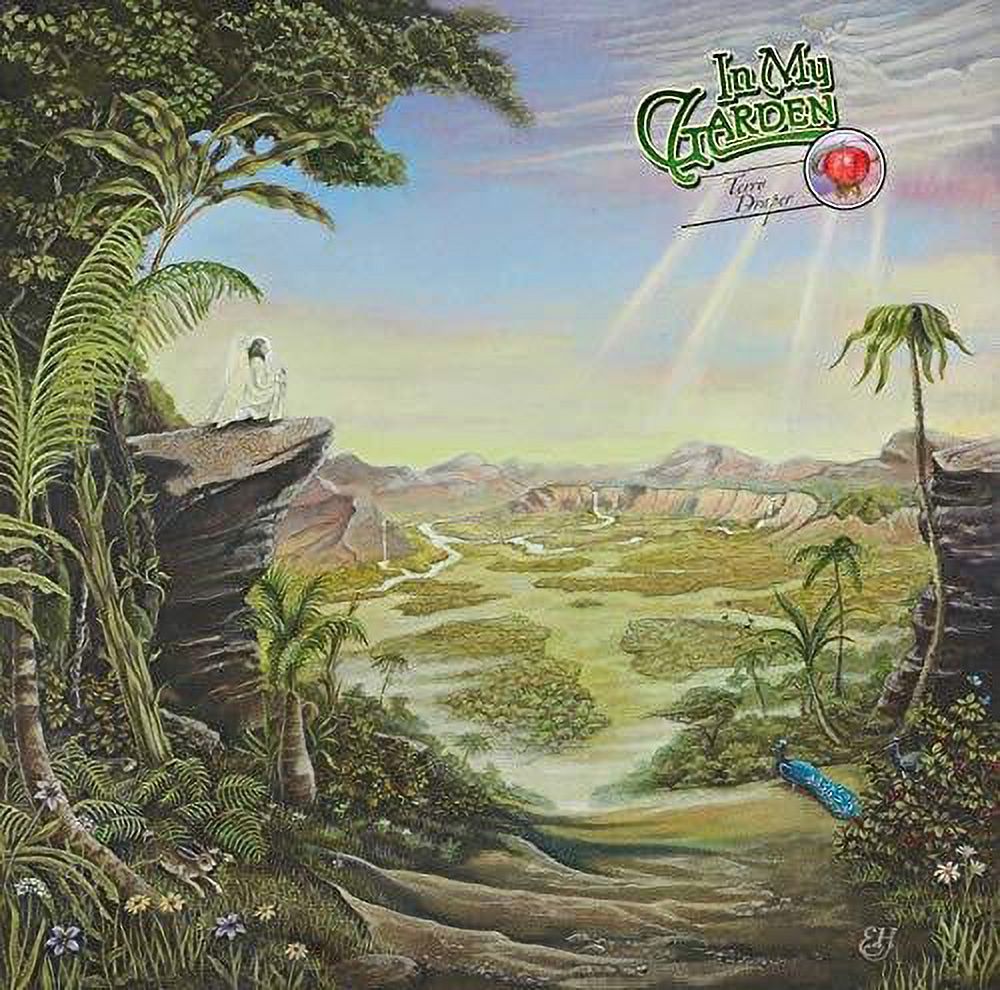Terry Draper - In My Garden - Music & Performance - Vinyl - Walmart.com