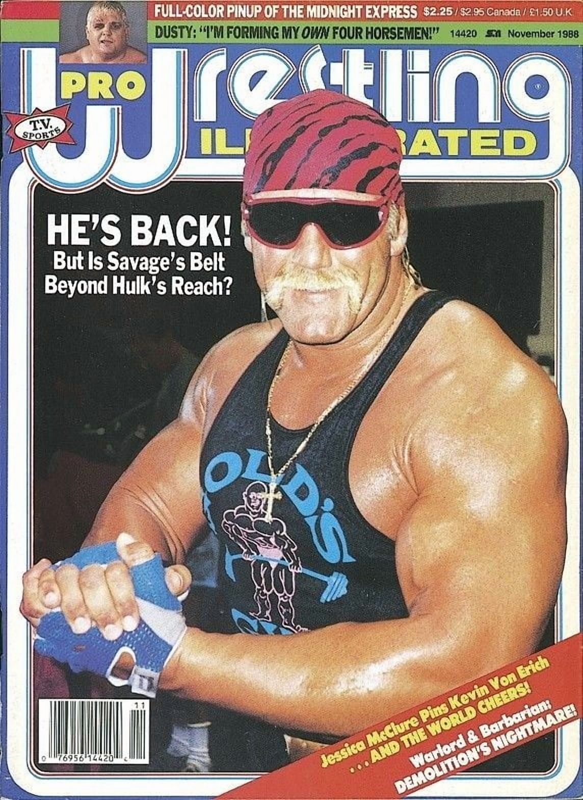 Terry Gene Bollea Photo Poster Print - Walmart.com