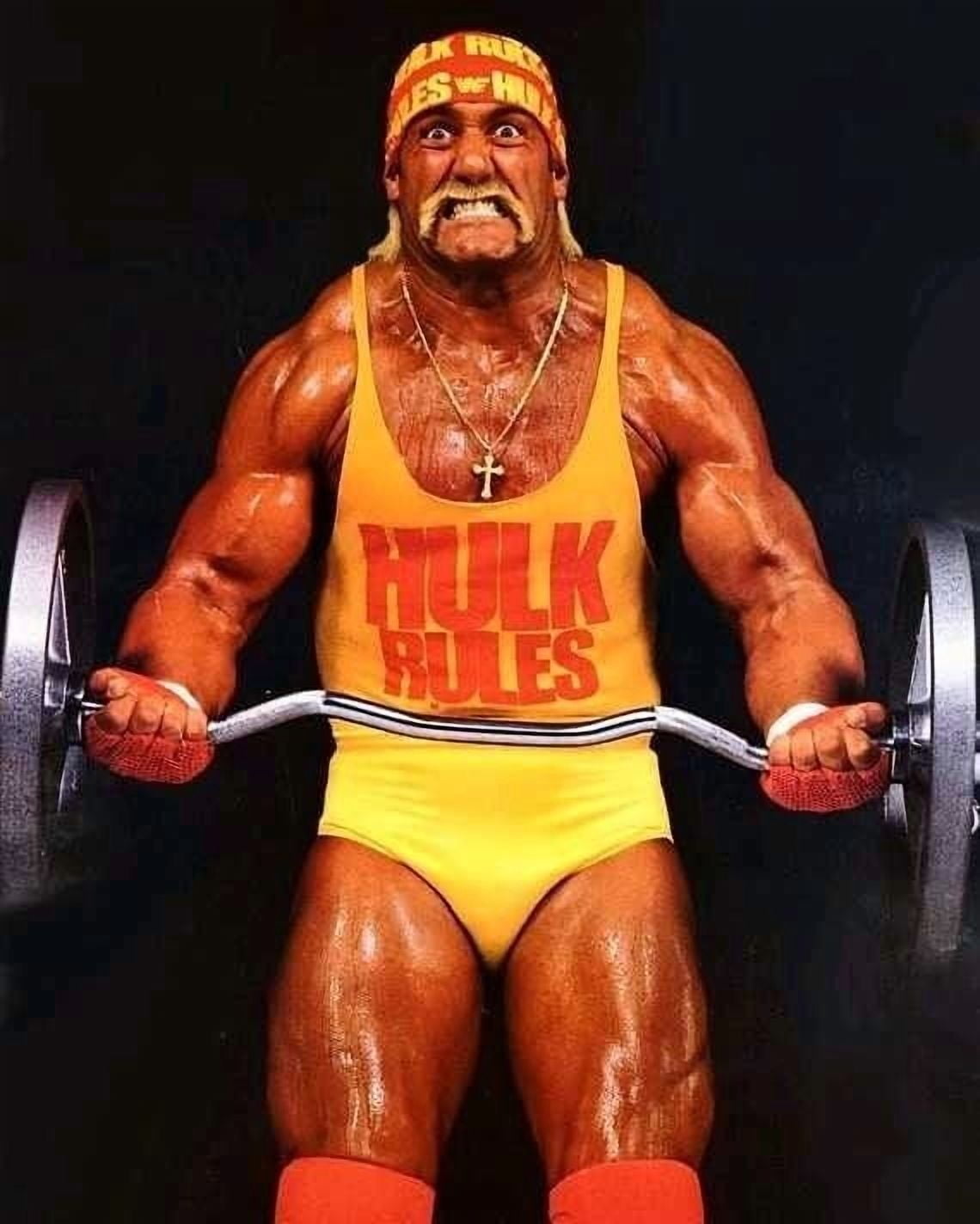 Terry Gene Bollea Photo Poster Print - Walmart.com