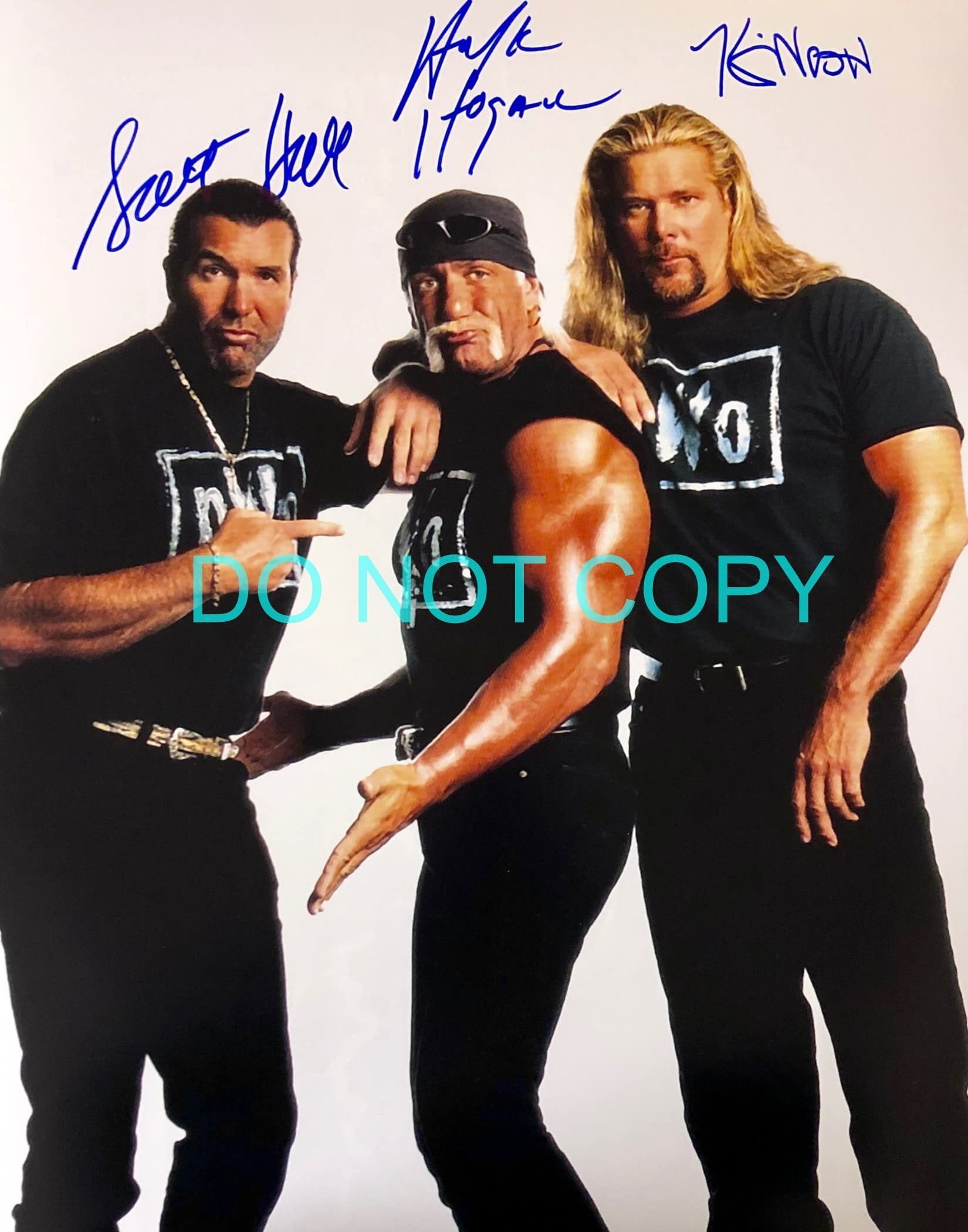 Terry Gene Bollea poster - Walmart.com