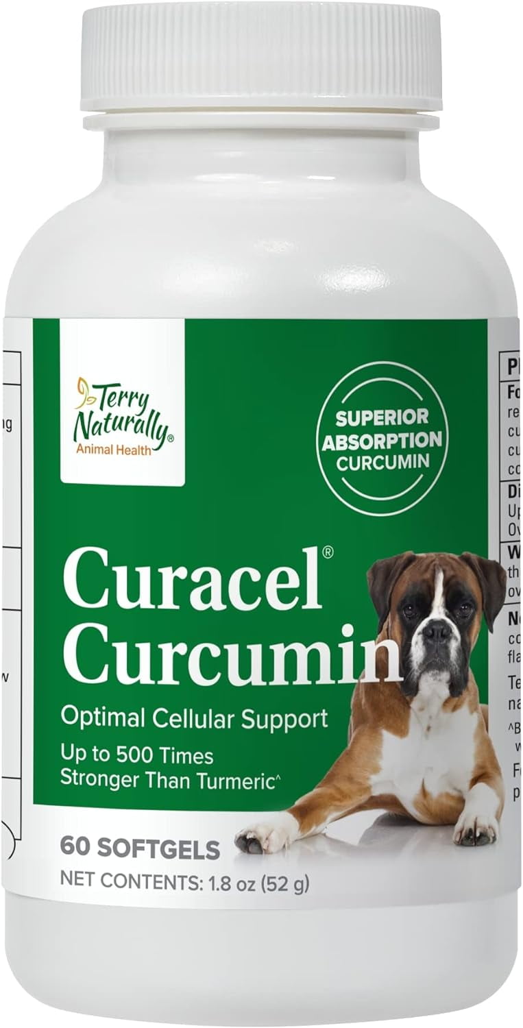 Terry Naturally Animal Health Curacel Curcumin - 375 mg., 60 Softgels ...