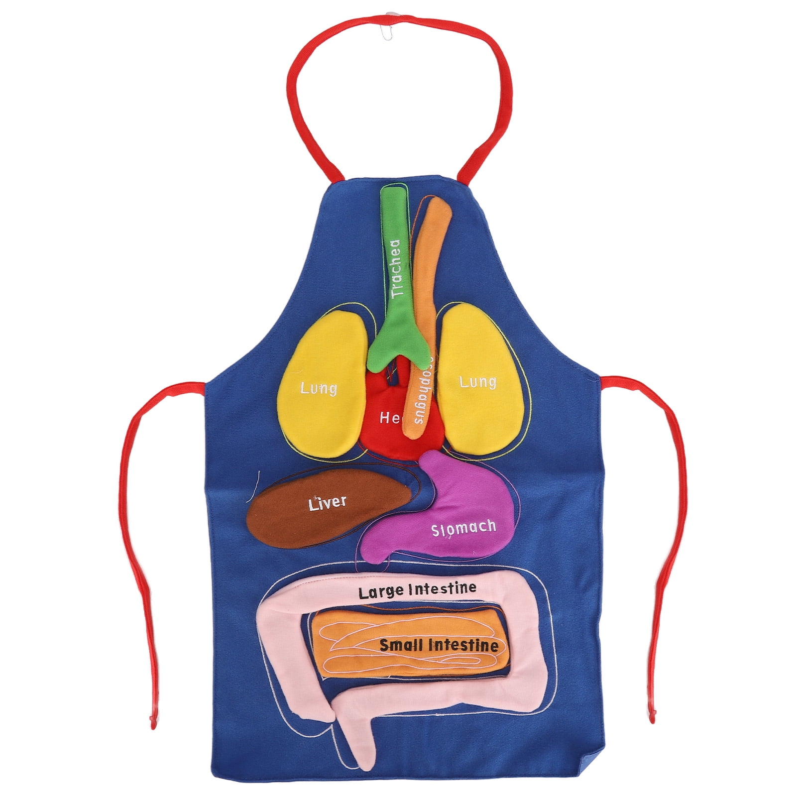 Tersalle 3D Organ Apron Body Organs Anatomy Costume Apron Removable ...