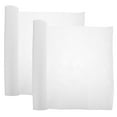 Tersarium 2 Rolls Simple Absorbing Paper Useful Range Hood Paper ...