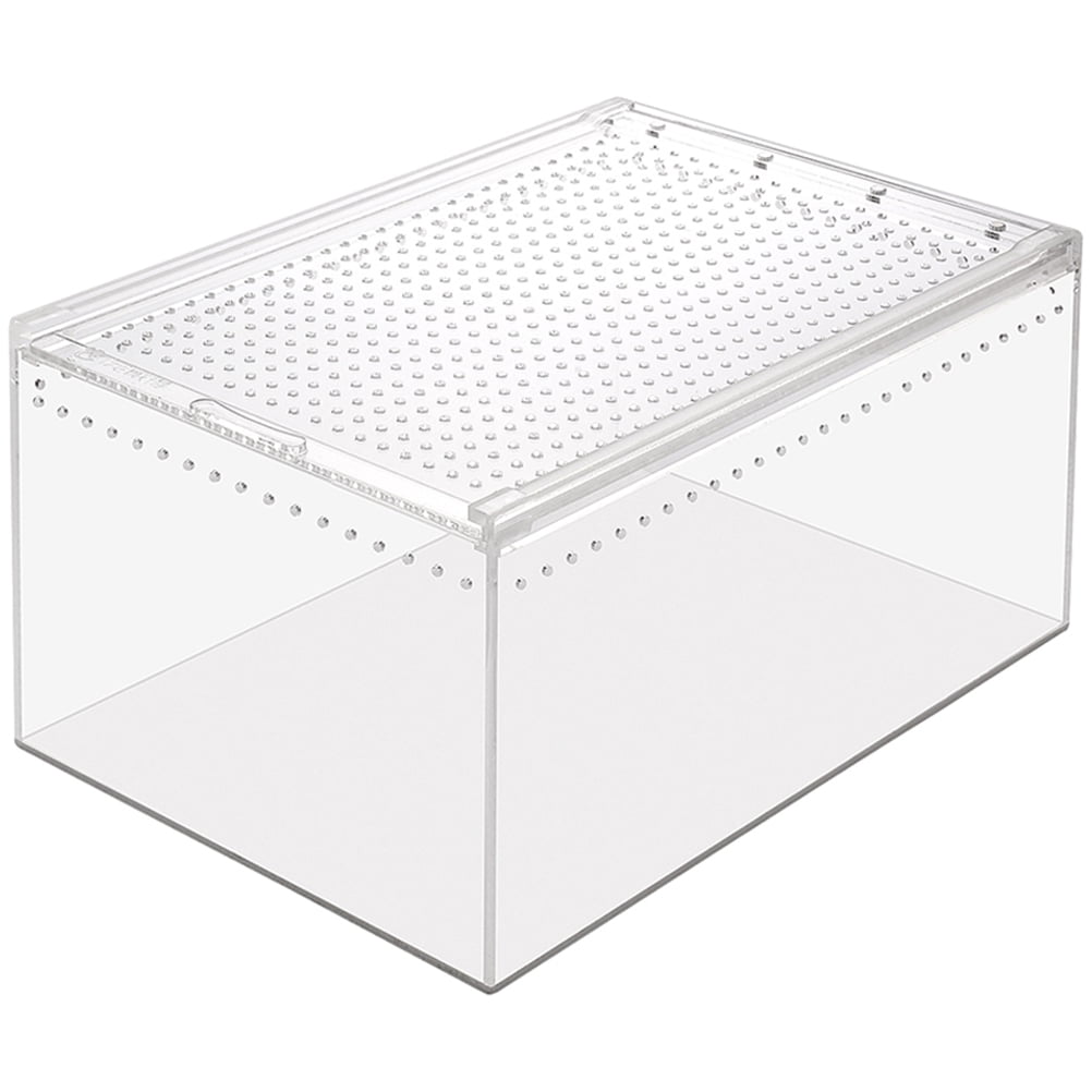 Tersarium Creative Feed Bin Small Breeder Box Reptiles Enclosure Snail ...