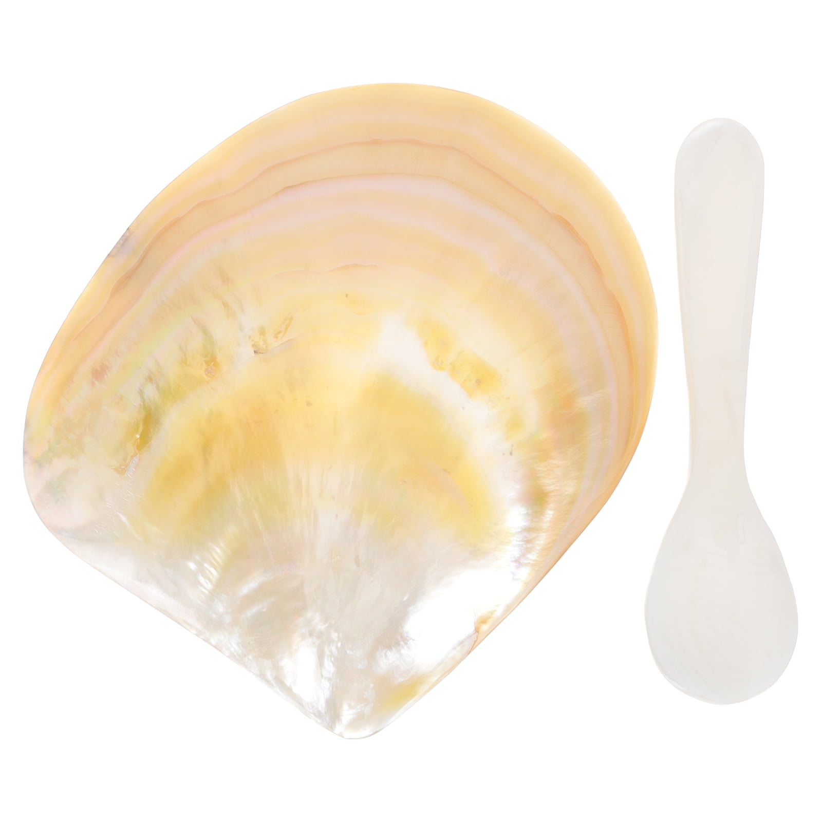 Tersarium Natural Shell Plate Serving Trays: Nautical Jewelry Dish ...