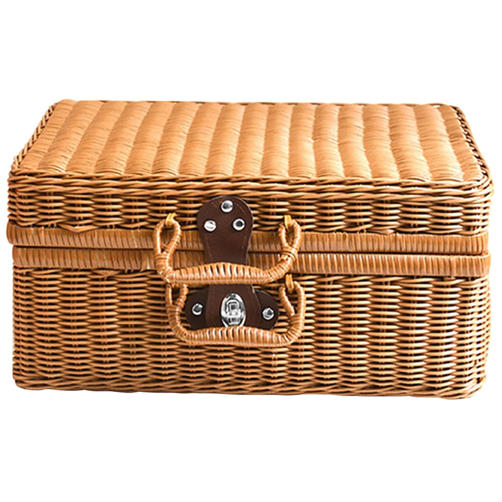 Tersarium Simulated Rattan Woven Suitcase Retro Storage Box Handwoven ...