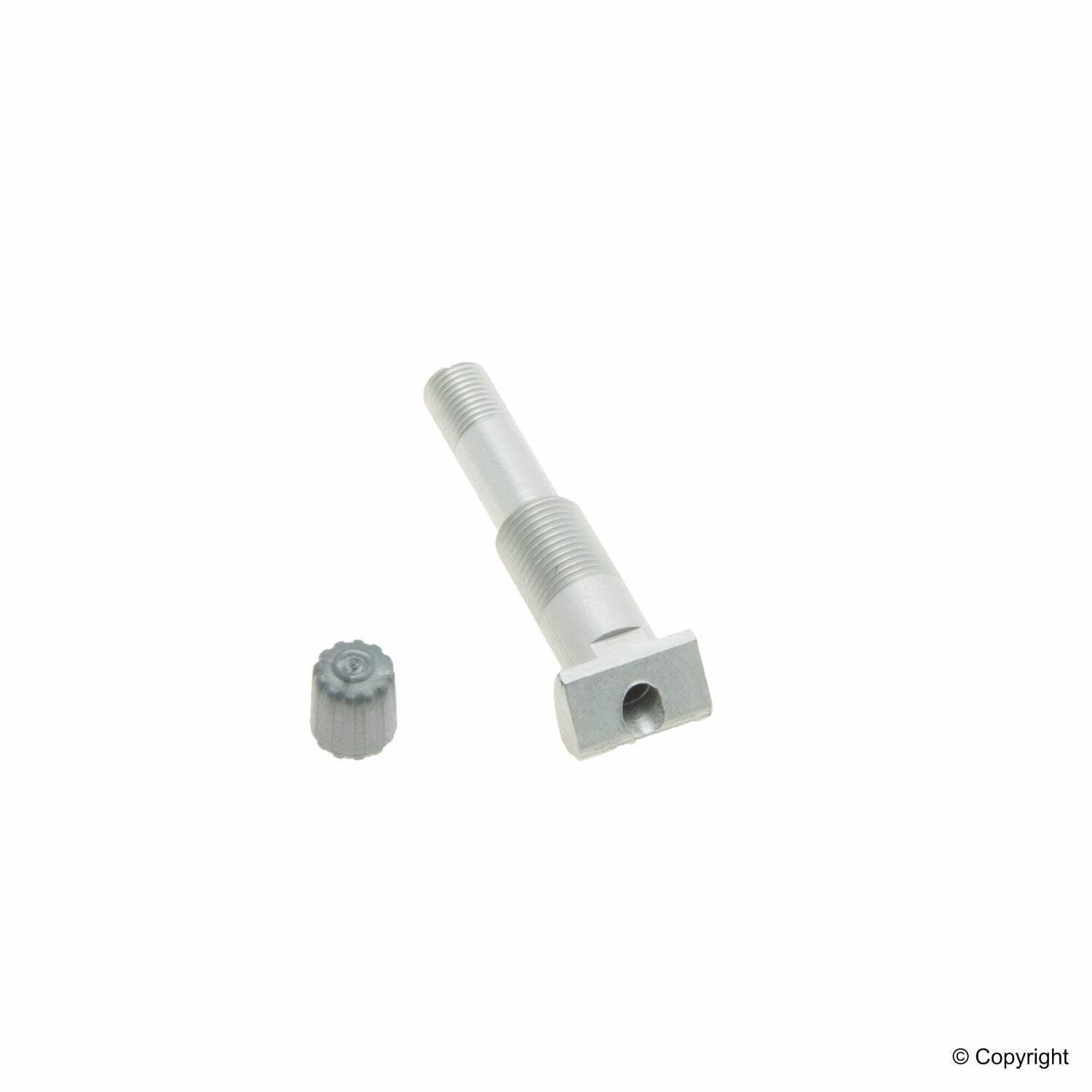 Tesla Model S, X Valve Stem Service Kit, 2014-2016 - Walmart.com