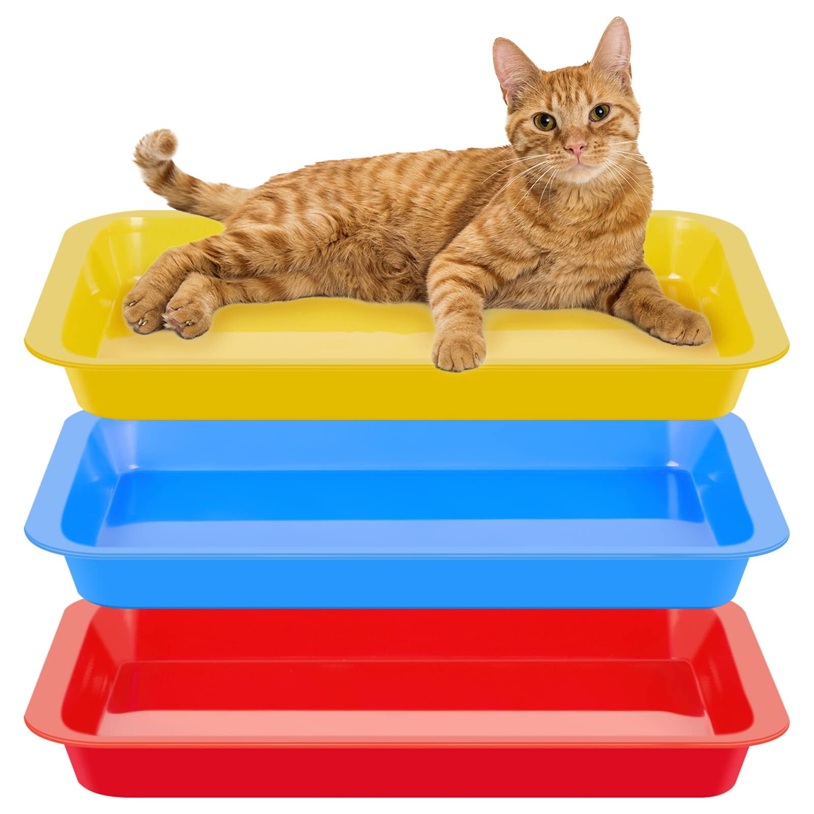 Tessco 3 Pcs Cat Litter Box Low Entry, Shallow Kitten Litter Box Large ...