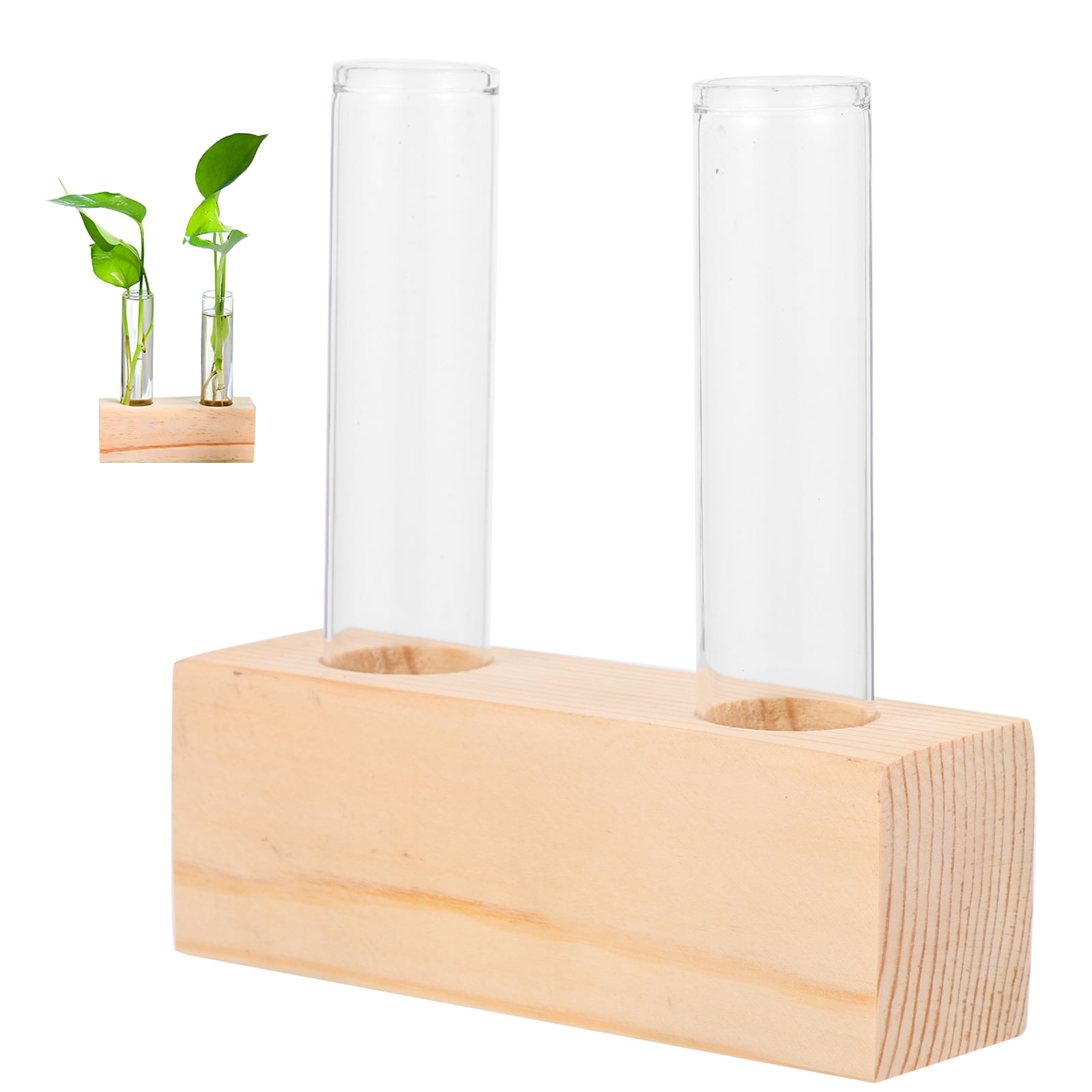Test Tube Vase Decor Office Decorative Hydroponic Small Indoor Plant ...