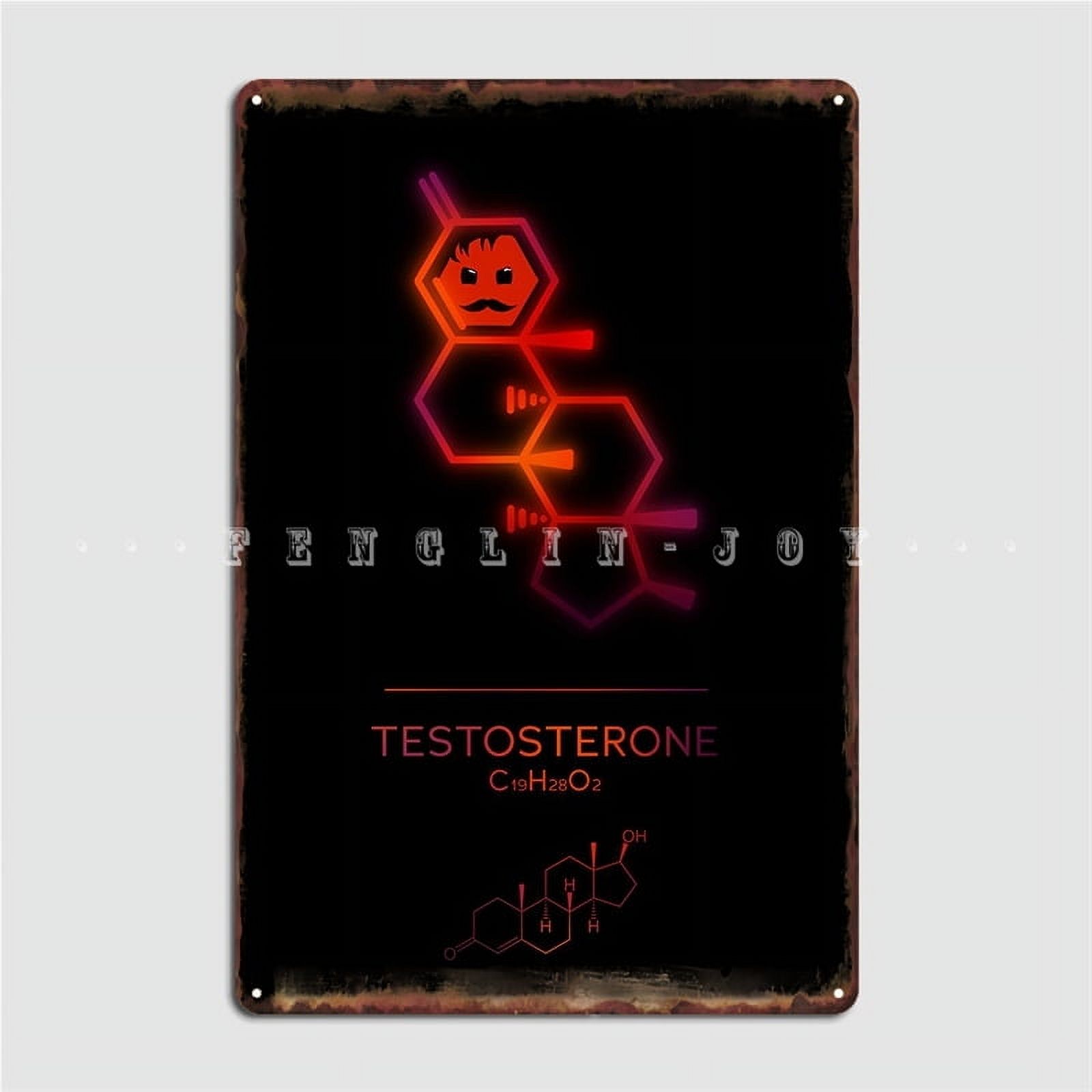 Testosterone Poster Metal Plaque Wall Cave Party Create Poster Tin Sign ...