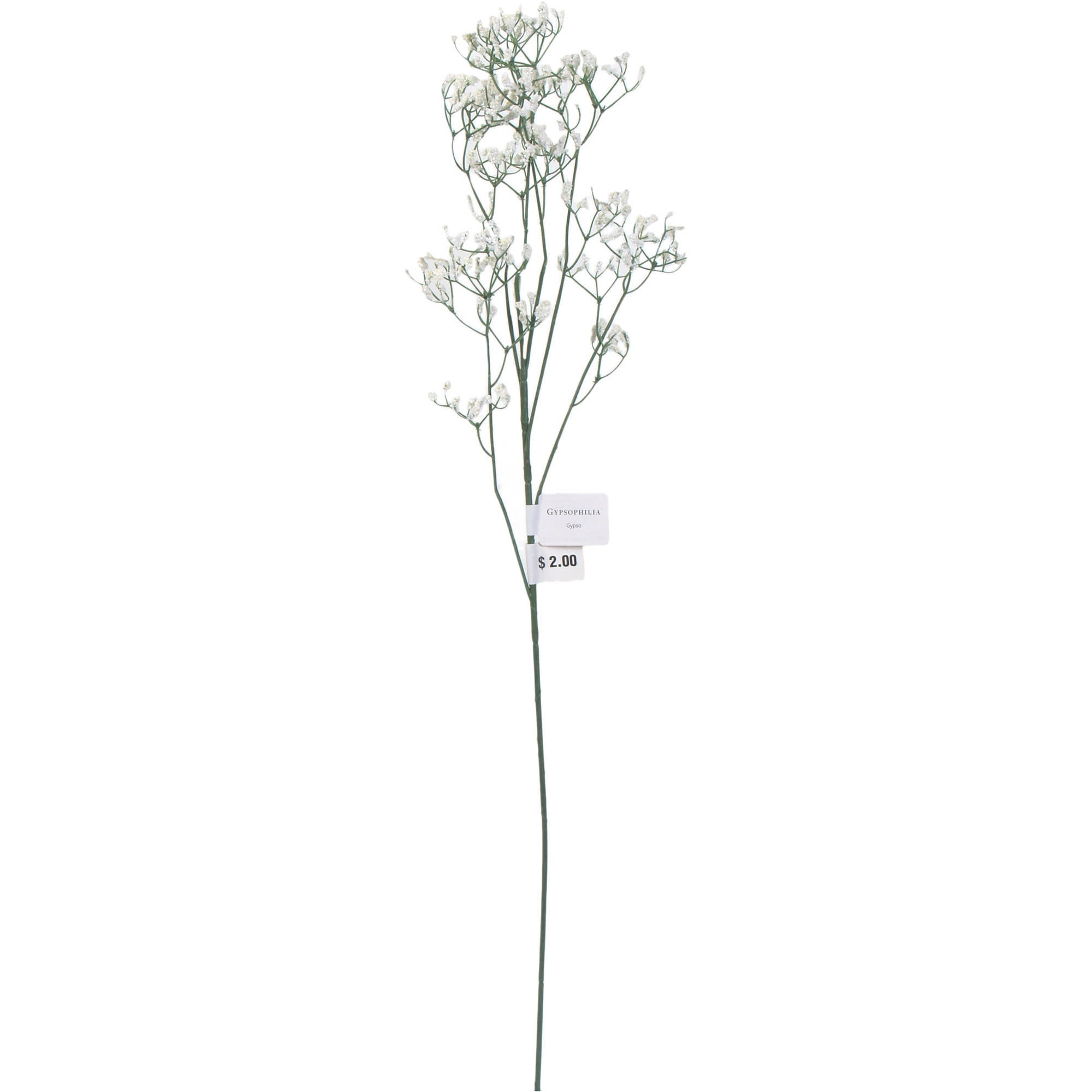 Teters Floral 26.5" White Gypsophilia Spray, 1 Each - Walmart.com