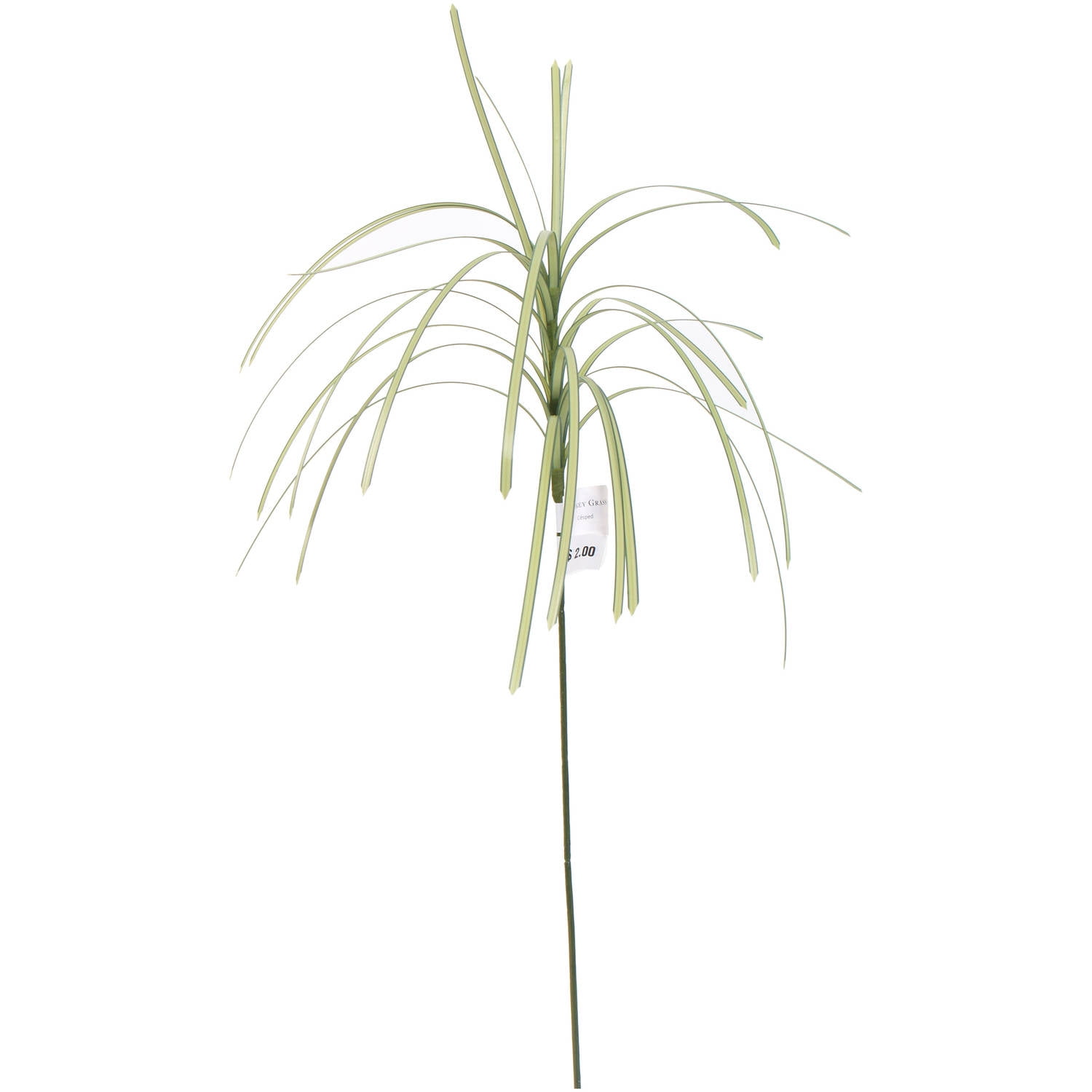 Teters Floral Green Monkey Grass, 1 Each - Walmart.com