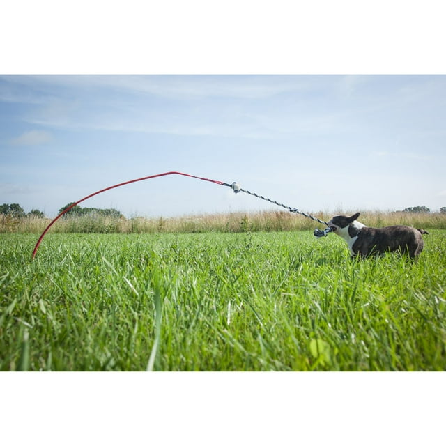 Tether Tug Outdoor Dog Toy - Walmart.com