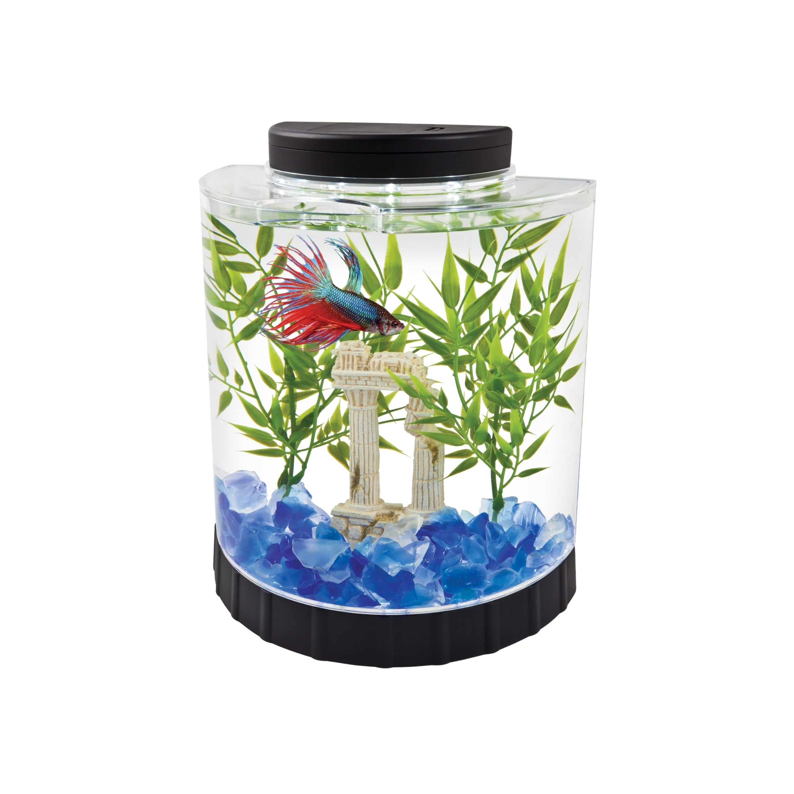 Tetra 1.1 Gallon Betta Aquarium Kit, Half Moon-Shaped Aquarium with LED Light - Walmart.com