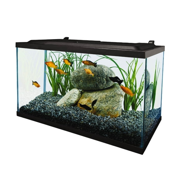 Fish Tank Kits in Fish Tanks - Walmart.com